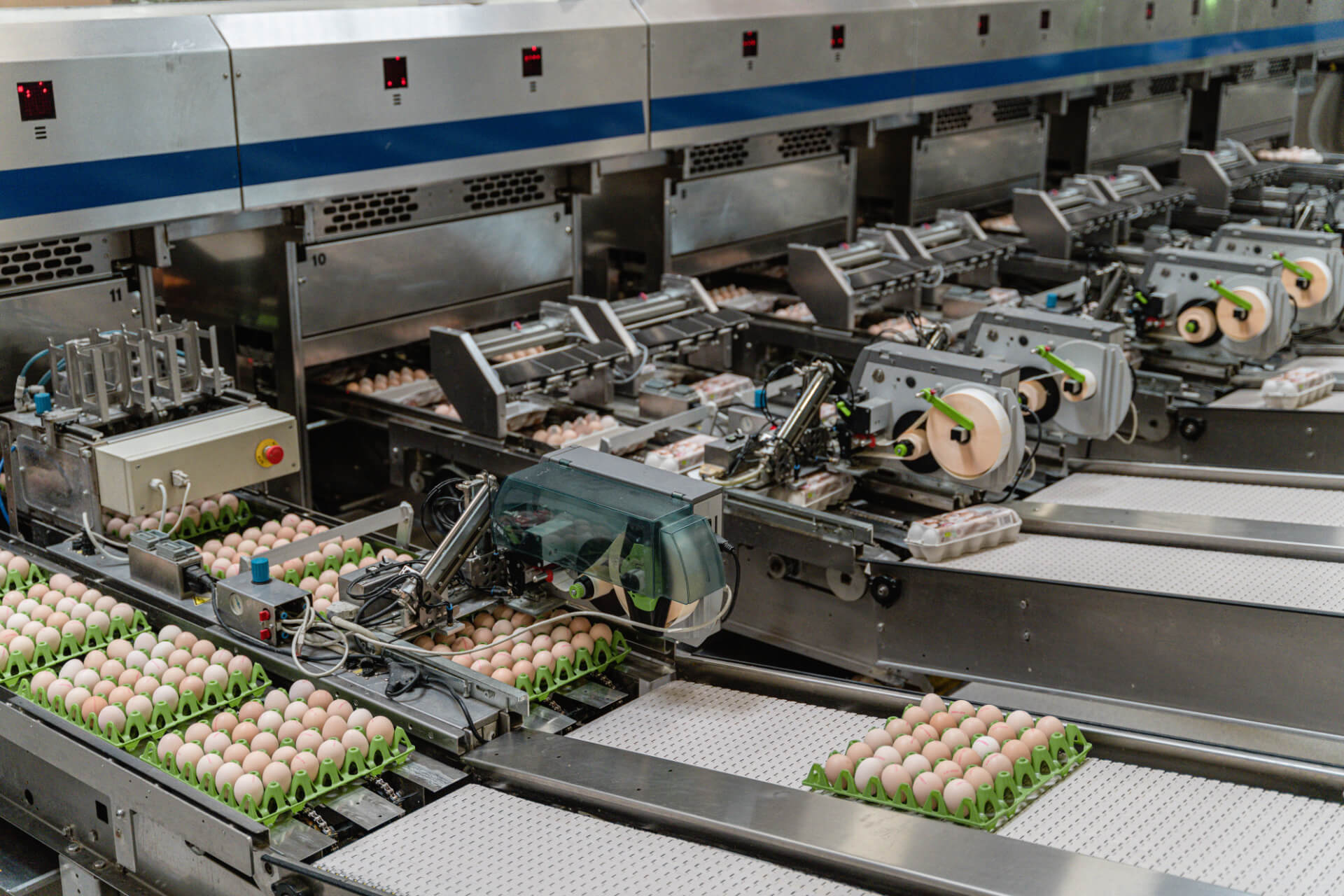 Das AMA-Gütesiegel für Ei & Eiprodukte: Bedeutung & Kriterien