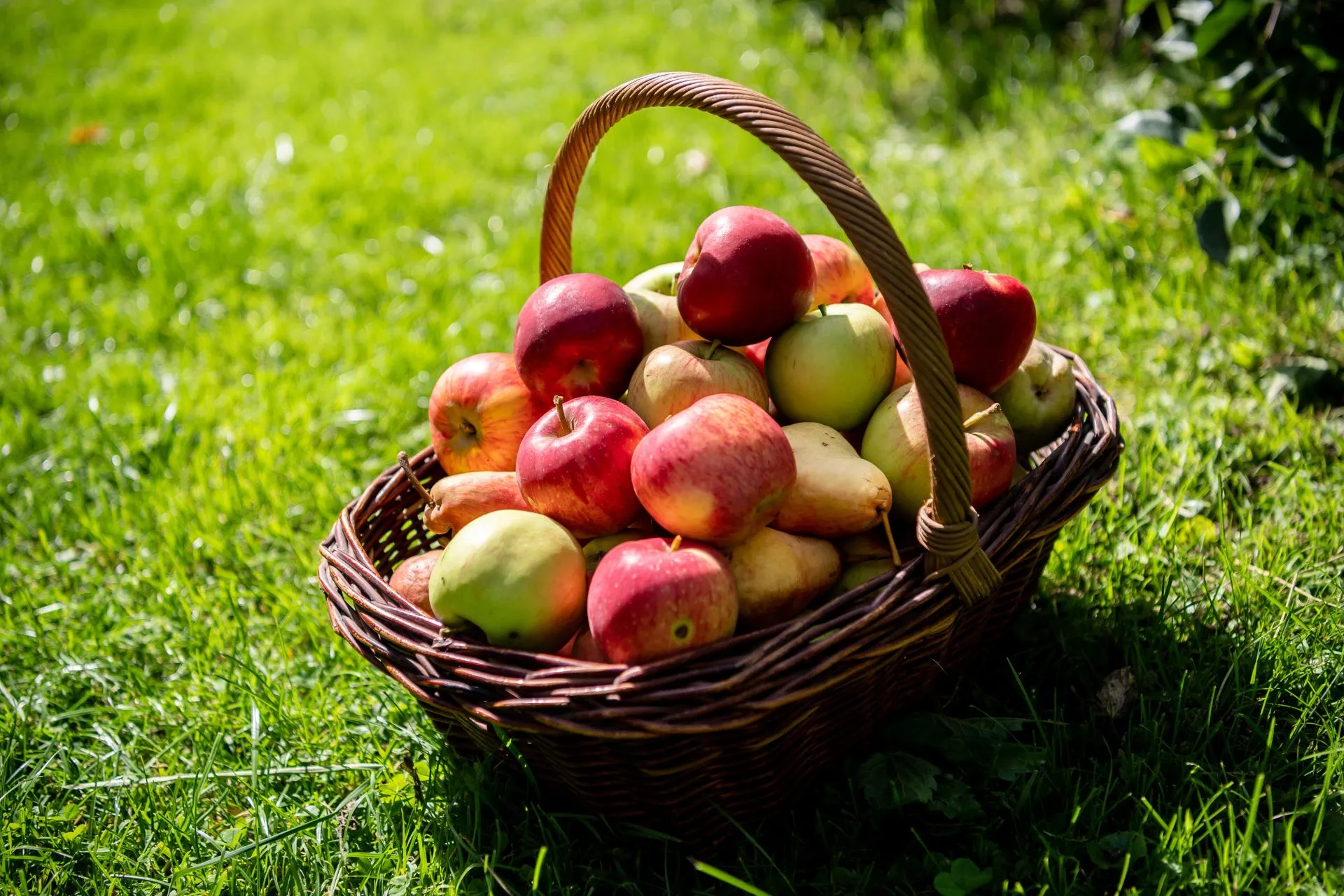 Obst: Definition, Sorten & Nährstoffe