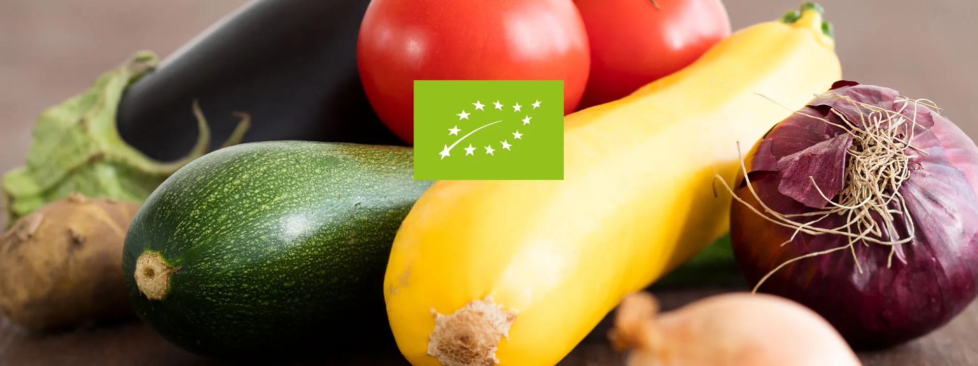 EU-Bio-Logo: BIOinfo